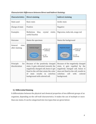 stain & staining.pdf