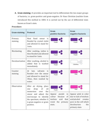 stain & staining.pdf