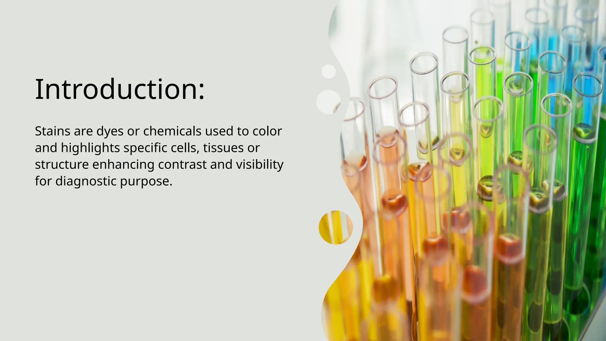 stains used in light microscopy (4).pptx