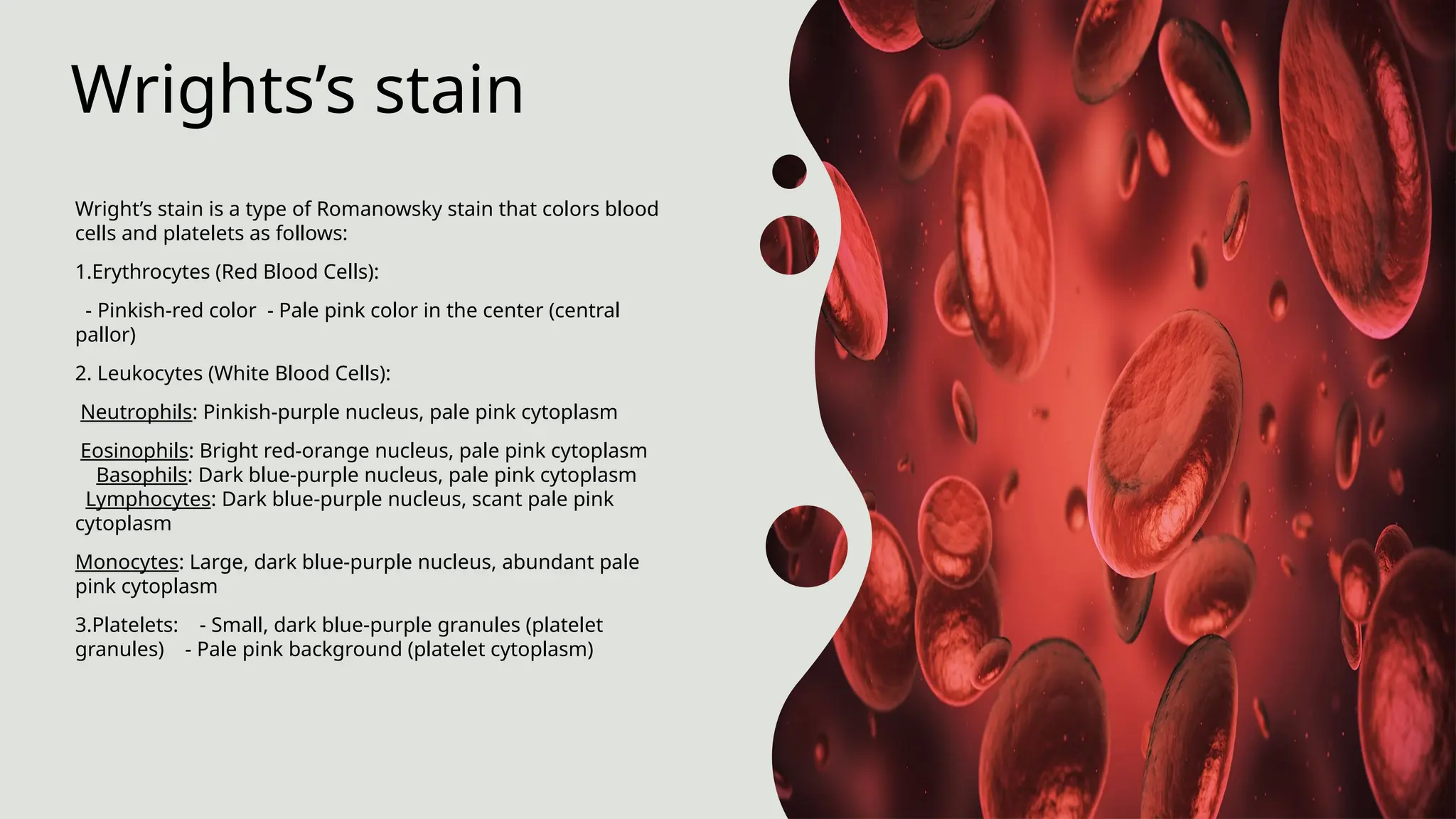 stains used in light microscopy (4).pptx