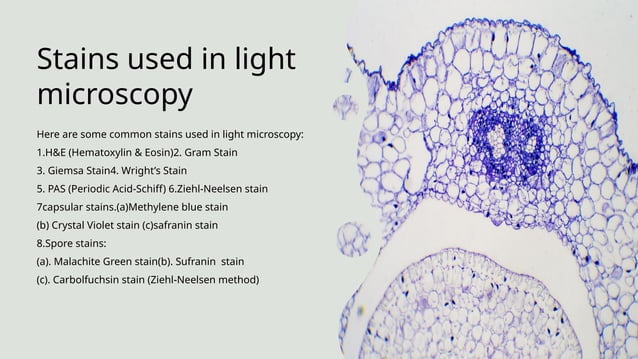 stains used in light microscopy (4).pptx