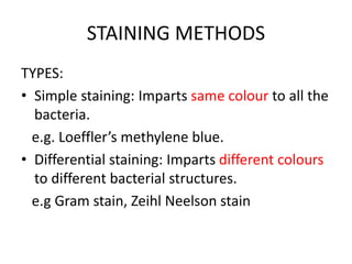 STAINS USED IN MICROBIOLOGY .pptx