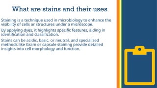 Stains Used in Microbiology for diagnosis of clinical samples | PPT