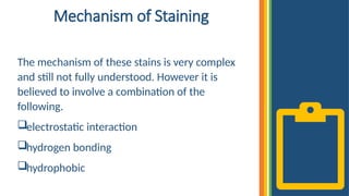 Stains Used in Microbiology for diagnosis of clinical samples | PPT