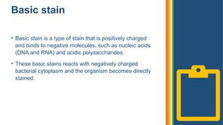 Stains Used in Microbiology for diagnosis of clinical samples | PPT