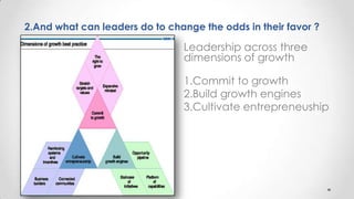 Staircases to Growth | PPTX