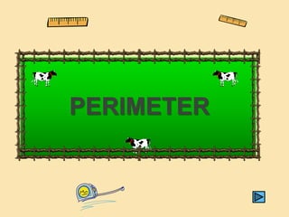 Stairprojectperimeter | PPTX