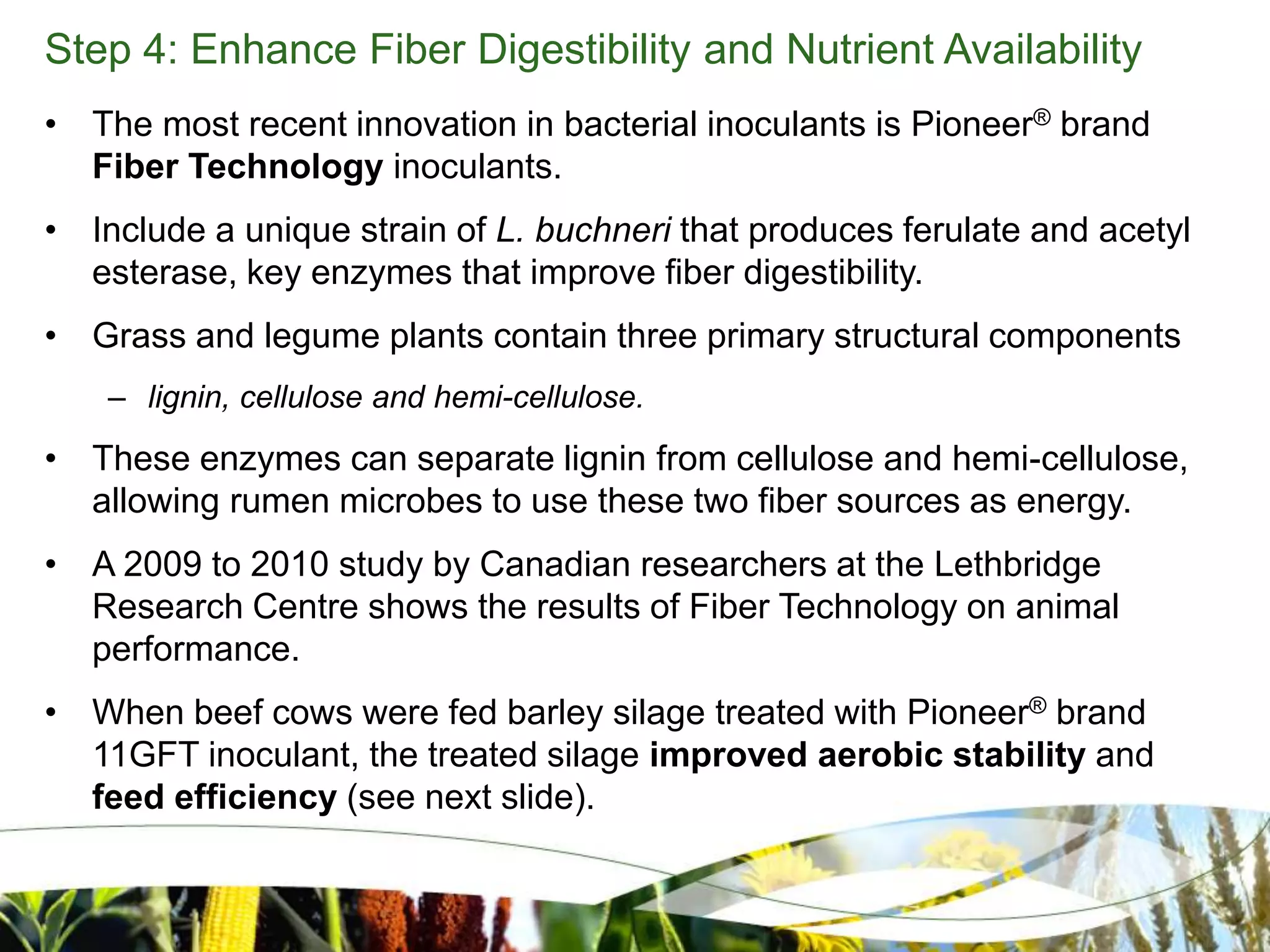 Stair Steps to Quality Silage: Pioneer Inoculant Development | PPT