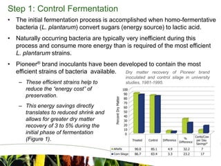 Stair Steps to Quality Silage: Pioneer Inoculant Development | PPT