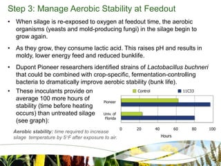 Stair Steps to Quality Silage: Pioneer Inoculant Development | PPT