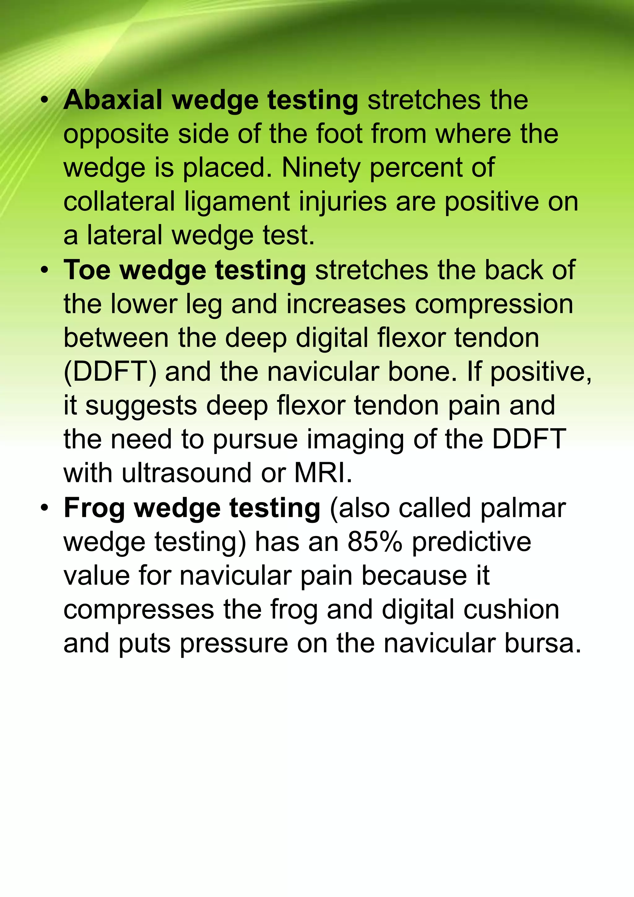 EQUINE SOUNDNESS CERTIFICATE | PPTX