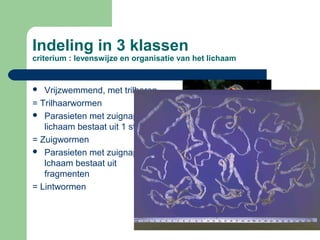 Biologie: De platwormen | PPT