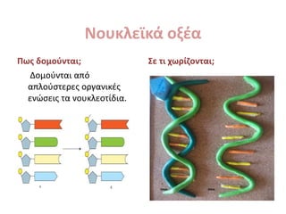 ΤΑ ΜΟΡΙΑ ΤΗΣ ΖΩΗΣ | PPTX