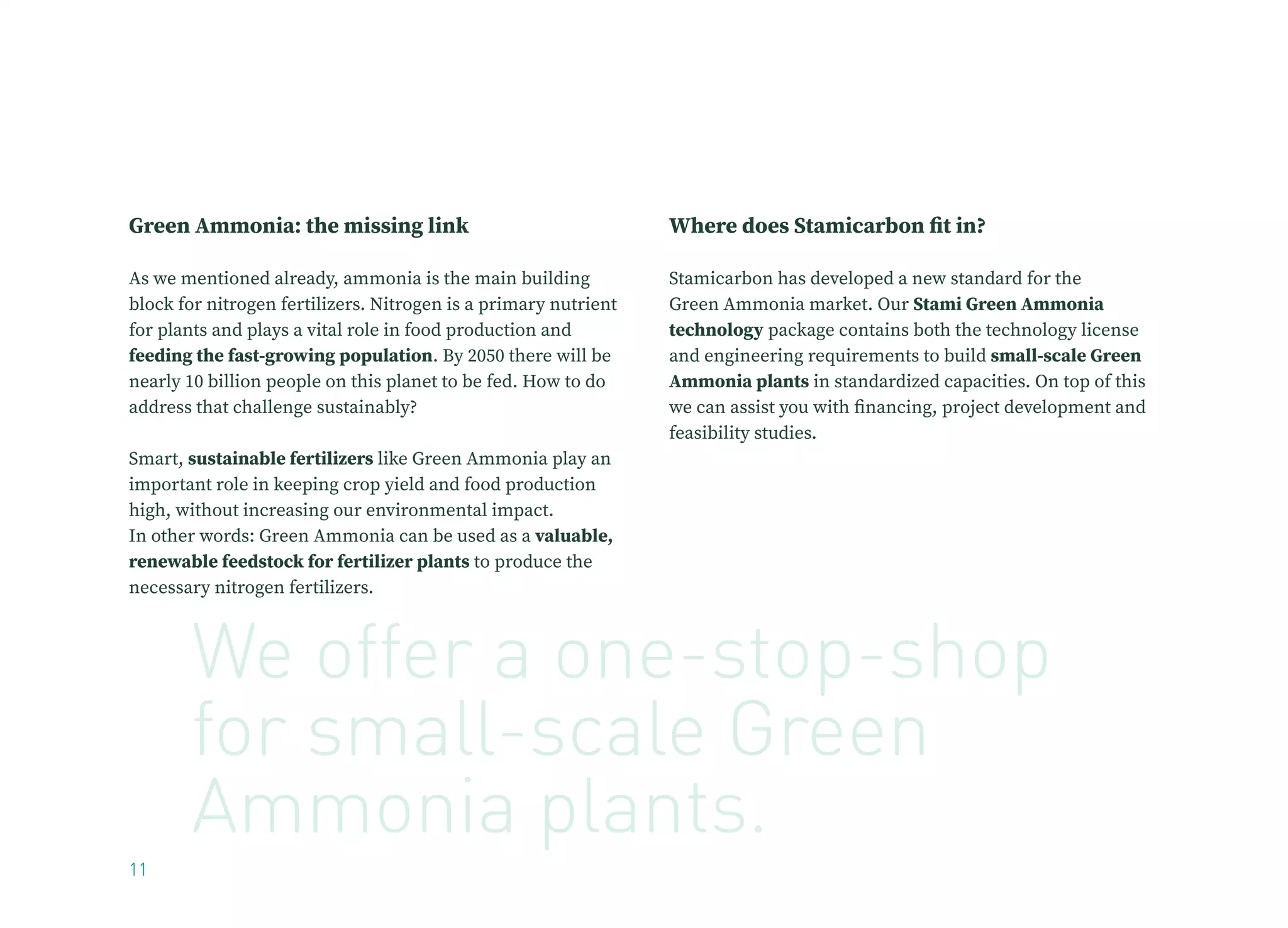 STAMICARBON brochure Green Ammonia.pdf