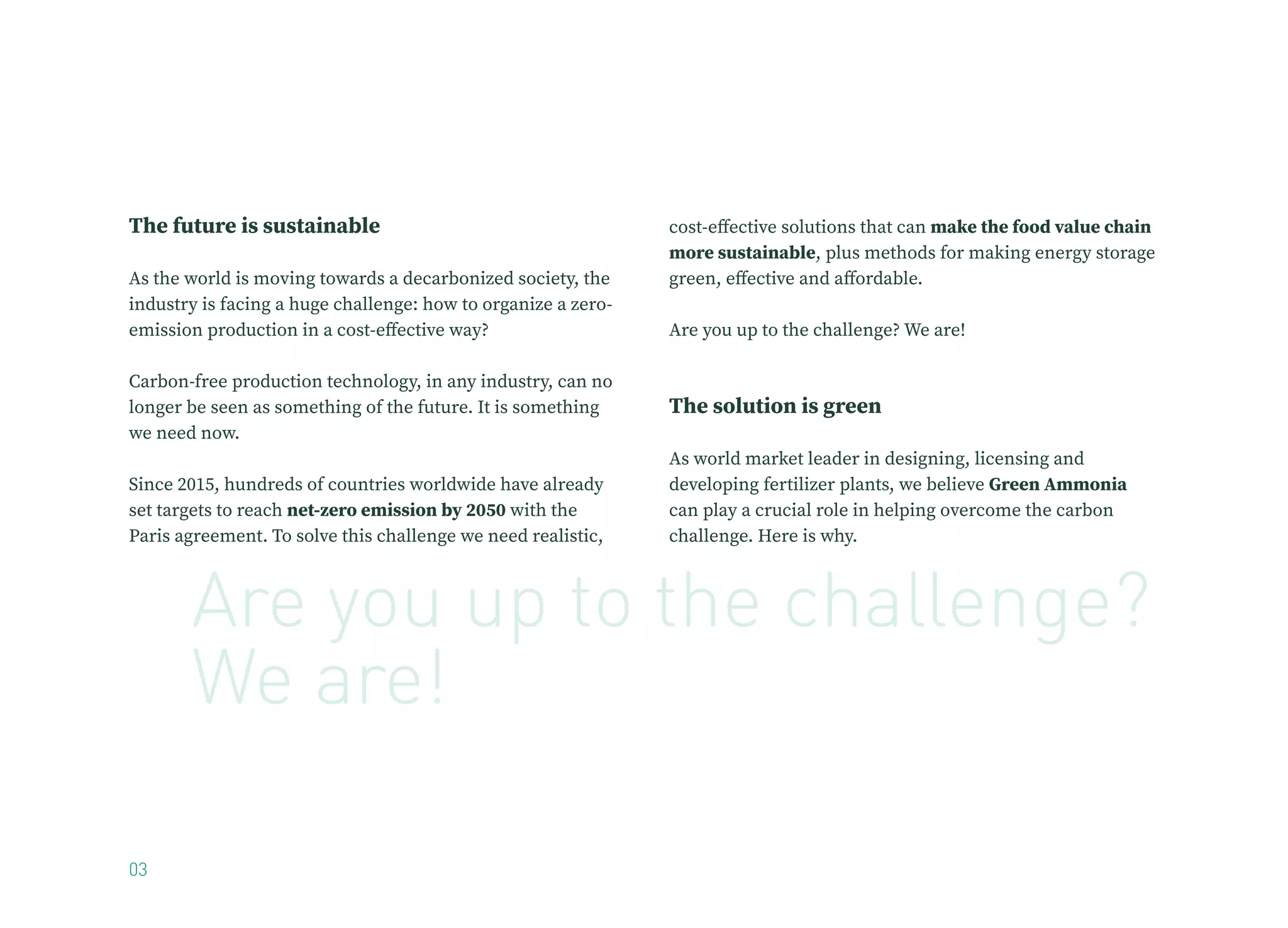 STAMICARBON brochure Green Ammonia.pdf