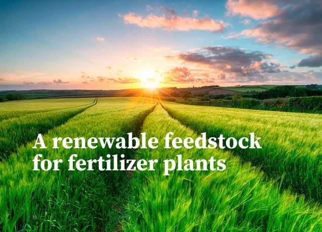 STAMICARBON brochure Green Ammonia.pdf | Agriculture | Industries