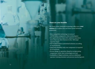 STAMICARBON brochure Green Ammonia.pdf