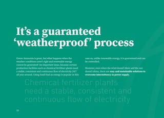 STAMICARBON brochure Green Ammonia.pdf