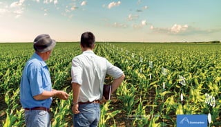 Stamicarbon slider | PPT