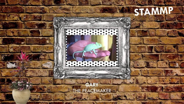 STAMMP - Credentials Deck | PPT