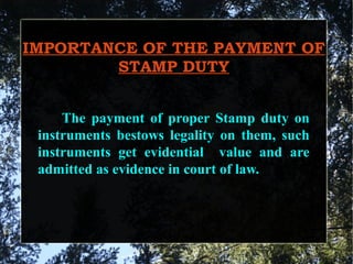 Stamp duty | PPT