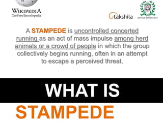 Stampede | PPTX