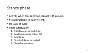 Stance and gait abnormalities for neurology | PPTX