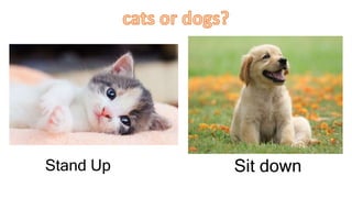 Stand-Up-Sit-Down Icebreaker.pptx