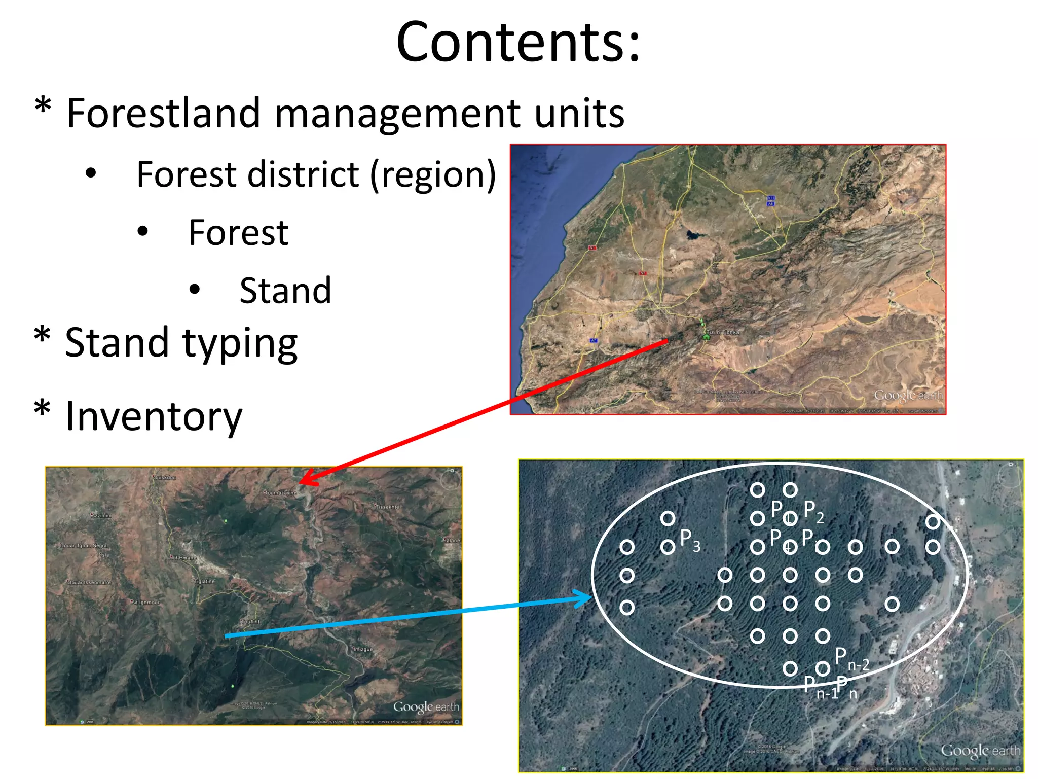Forest Diagnosis: Stand, forest, stand typing | PDF