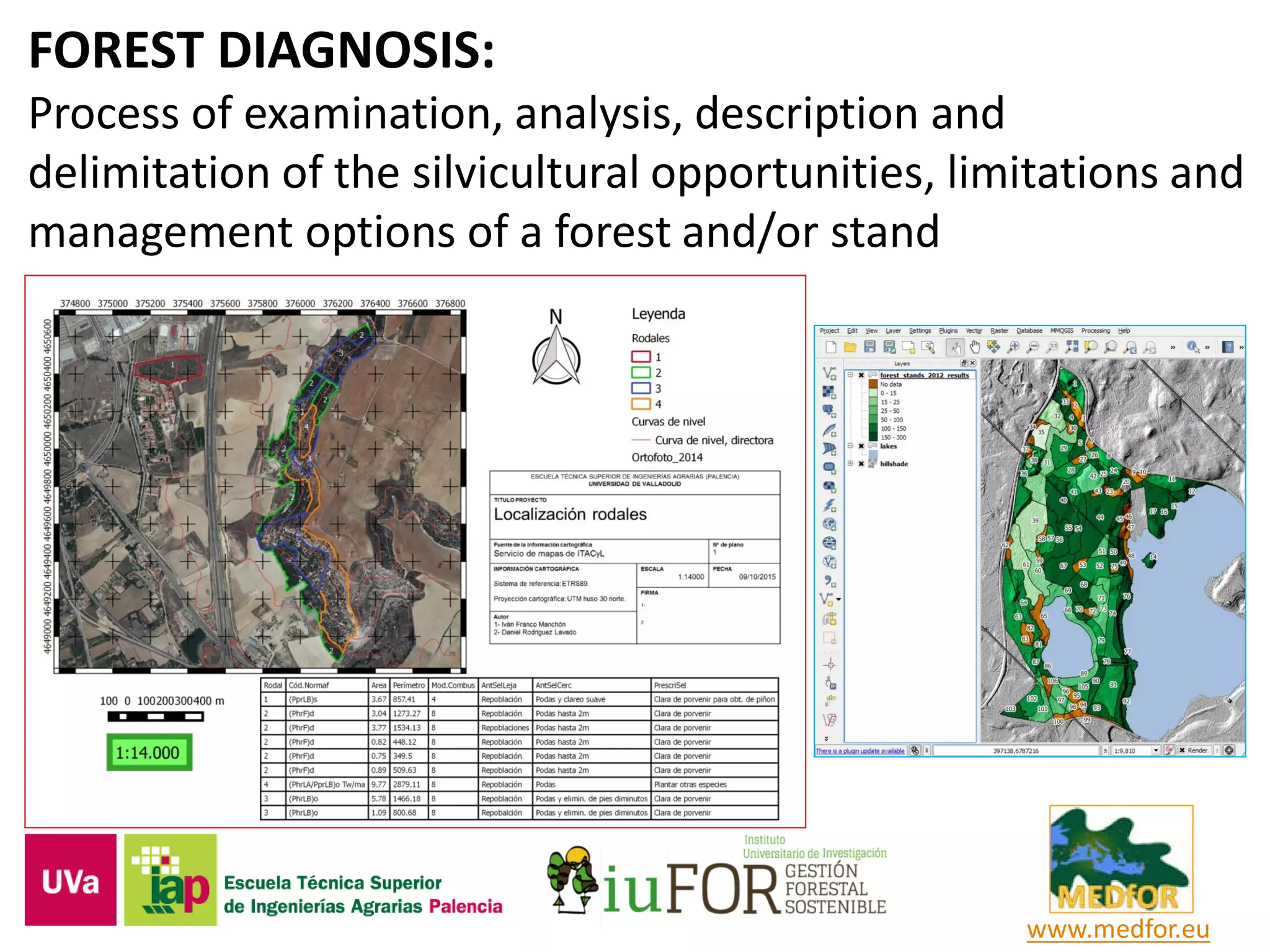 Forest Diagnosis: Stand, forest, stand typing | PDF