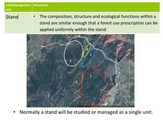 Forest Diagnosis: Stand, forest, stand typing | PDF