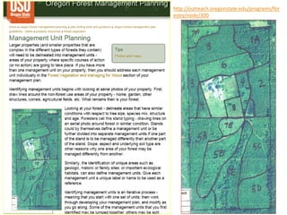Forest Diagnosis: Stand, forest, stand typing | PDF