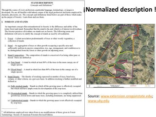 Forest Diagnosis: Stand, forest, stand typing | PDF