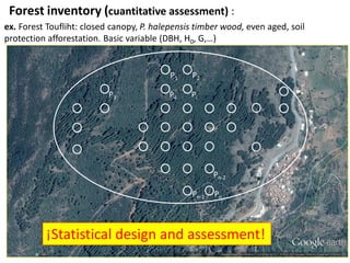 Forest Diagnosis: Stand, forest, stand typing | PDF