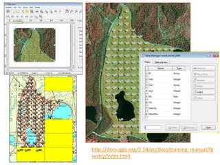 Forest Diagnosis: Stand, forest, stand typing | PDF