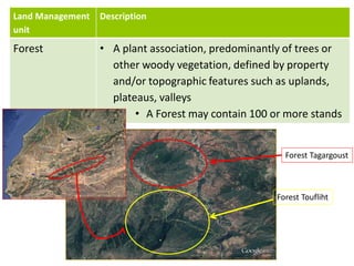 Forest Diagnosis: Stand, forest, stand typing | PDF