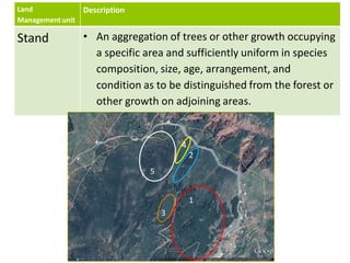 Forest Diagnosis: Stand, forest, stand typing | PDF