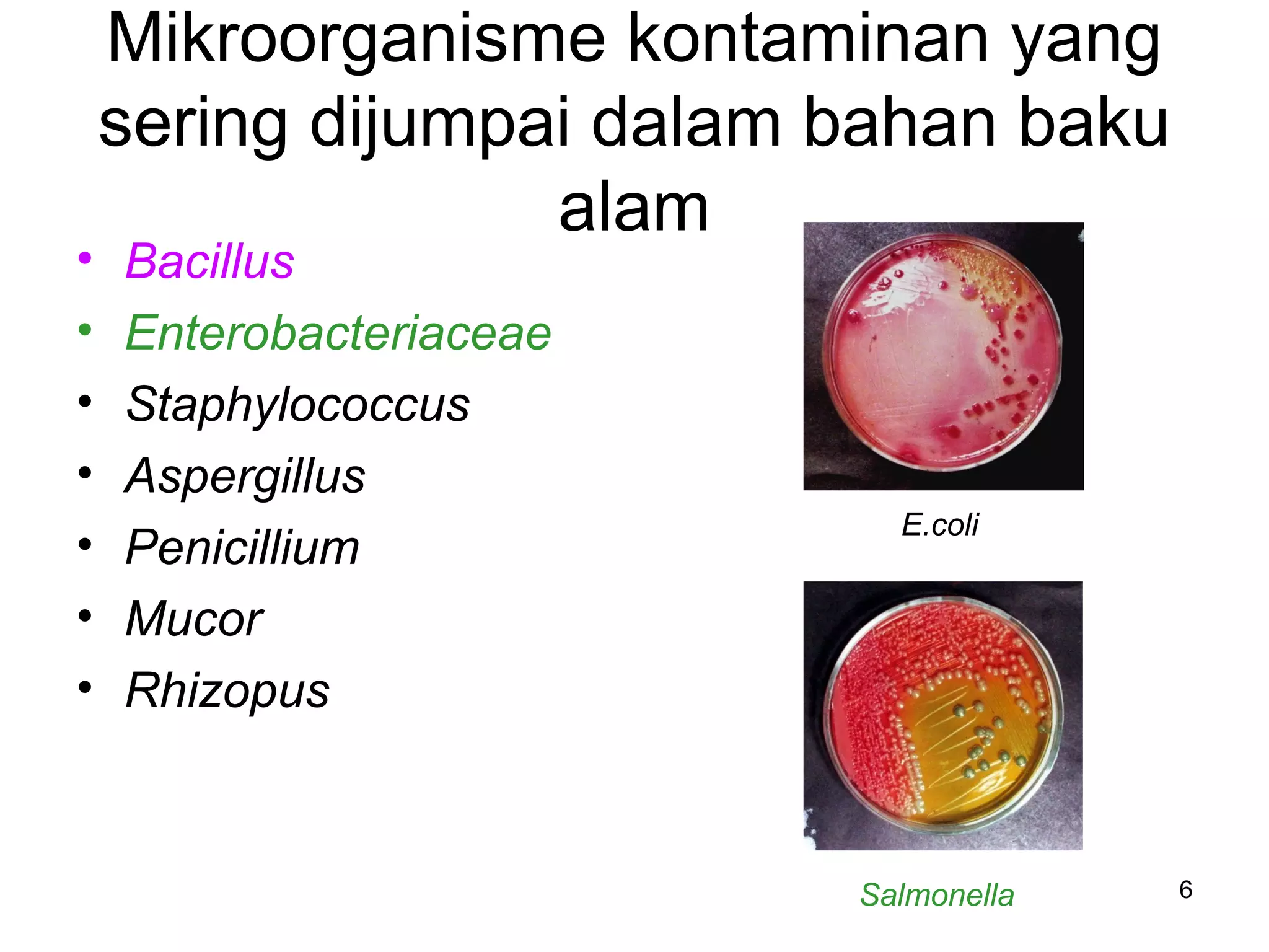 Standar mikrobiologi-untuk-produk-farmasi1-2 | PPT