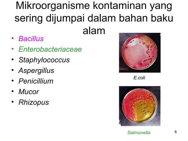 Standar mikrobiologi-untuk-produk-farmasi1-2 | PPT