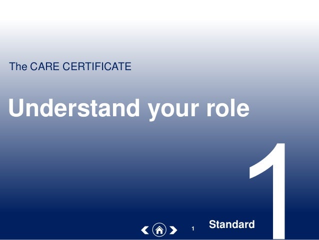 Standard 1 standard-1