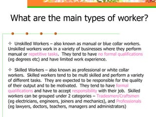Standard Grade Business Management - Human Resources | PPT