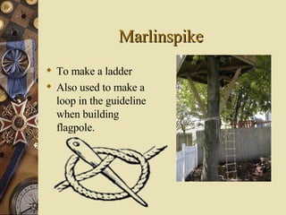 Standard Knots | PPT