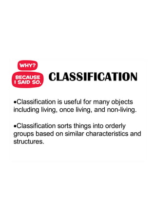 Standard 5.2 classification | PDF