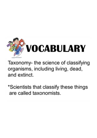 Standard 5.2 classification | PDF