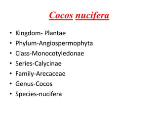 Standard 8 lesson 4 | PPT
