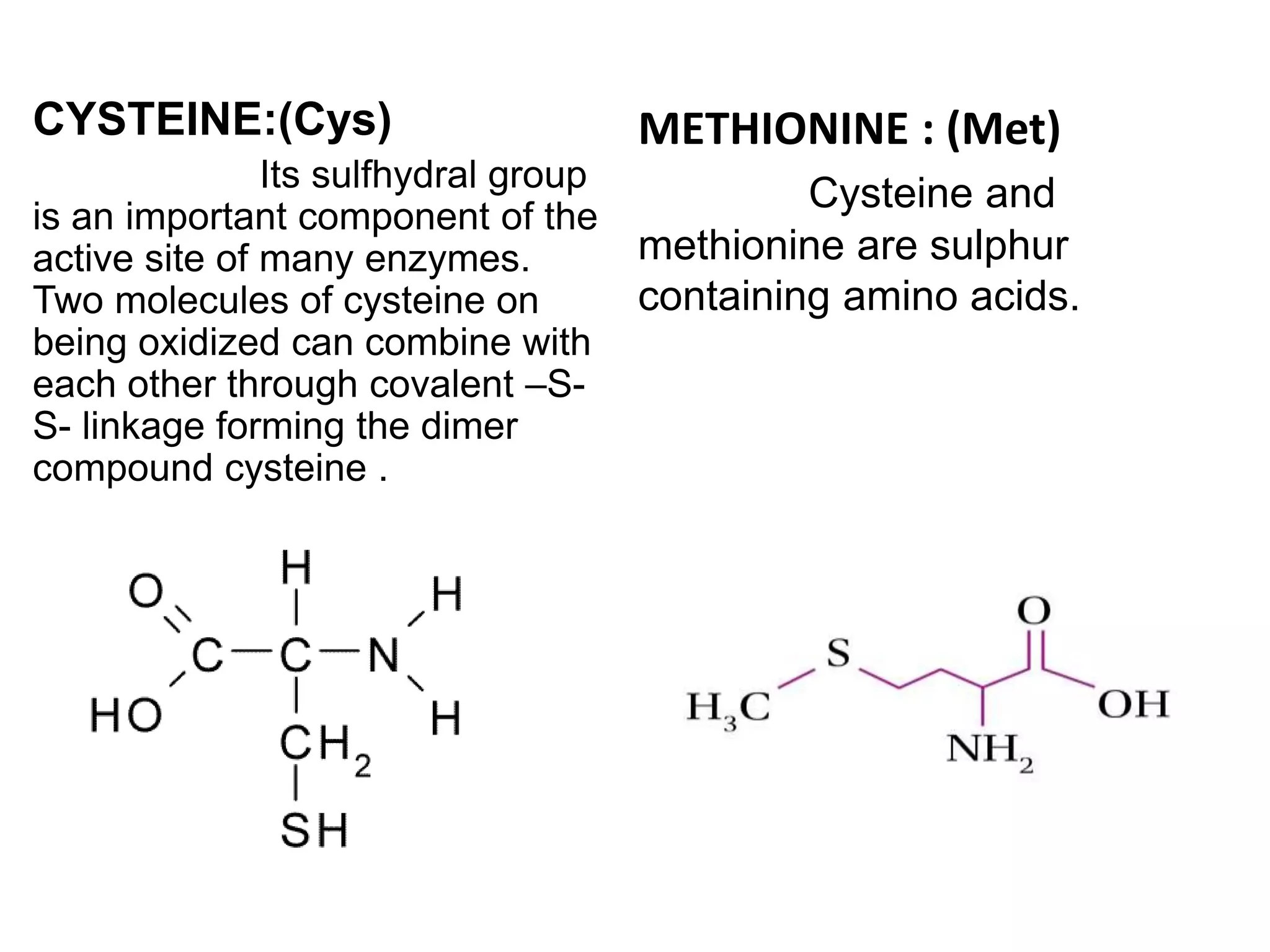 Standard amino acids | PPTX