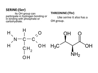 Standard amino acids | PPTX