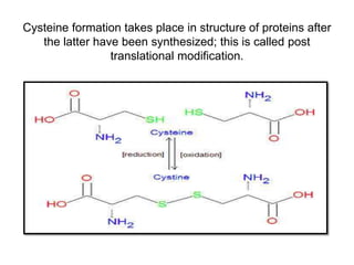 Standard amino acids | PPTX