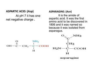Standard amino acids | PPTX