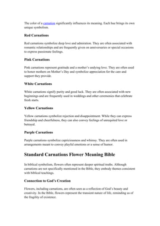 Standard Carnations Spiritual Meaning and Symbolism.docx